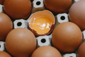 Calico Princess Chicken: The Ultimate Guide - Sterling Springs Chicken